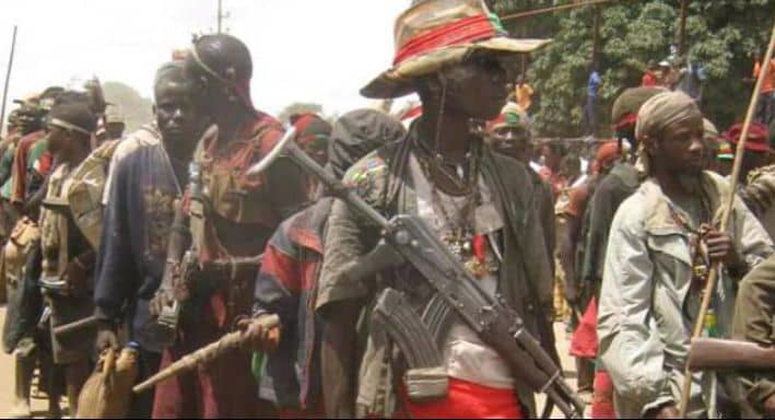 Ituri : un mort et une centaine de vaches pillées par des miliciens ...